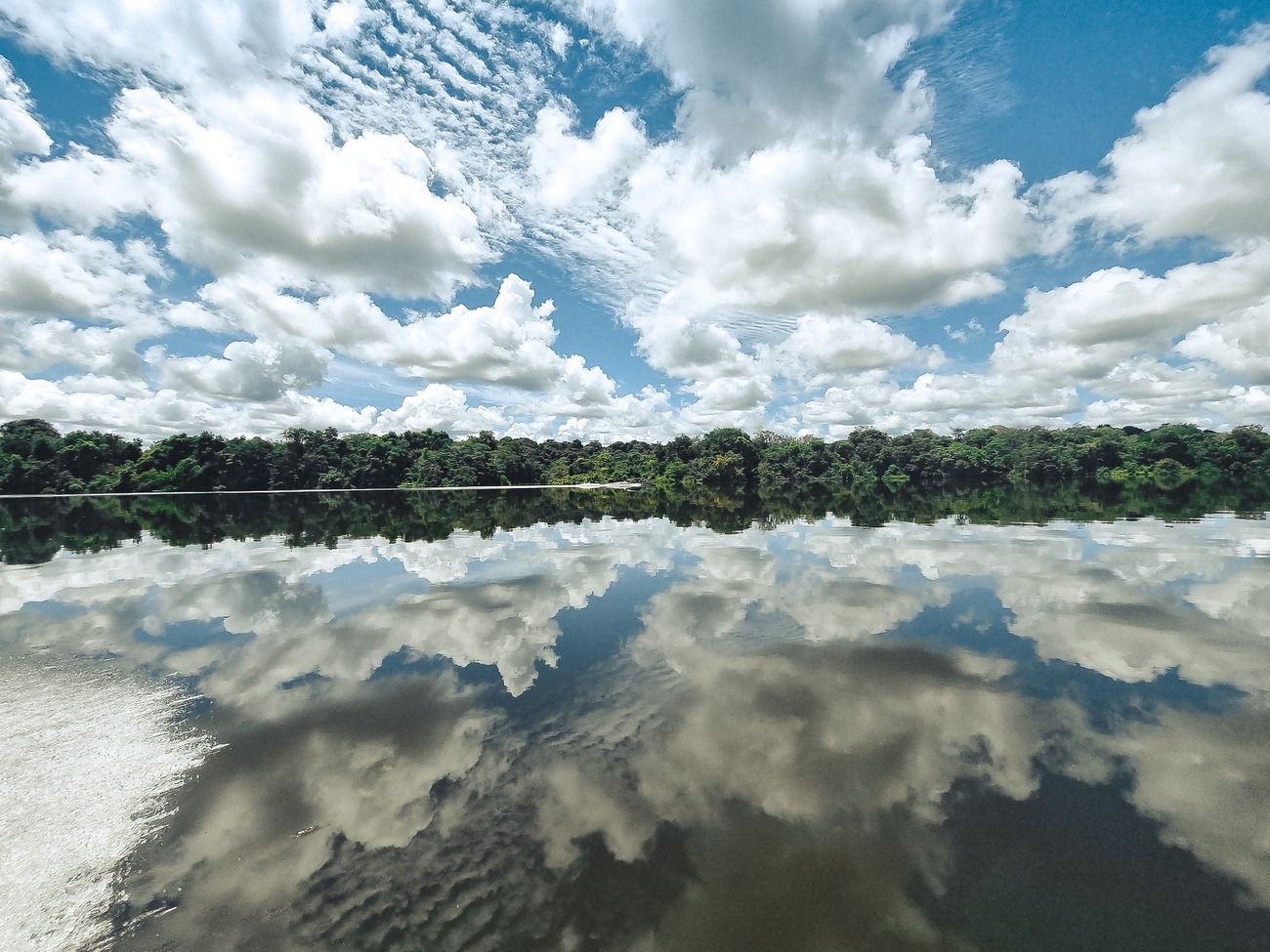 Places to Visit in the Amazon Rainforest - 9 Sustainable Tours